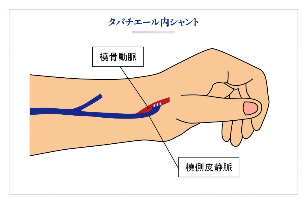 診療案内 – VAクリニック愛知