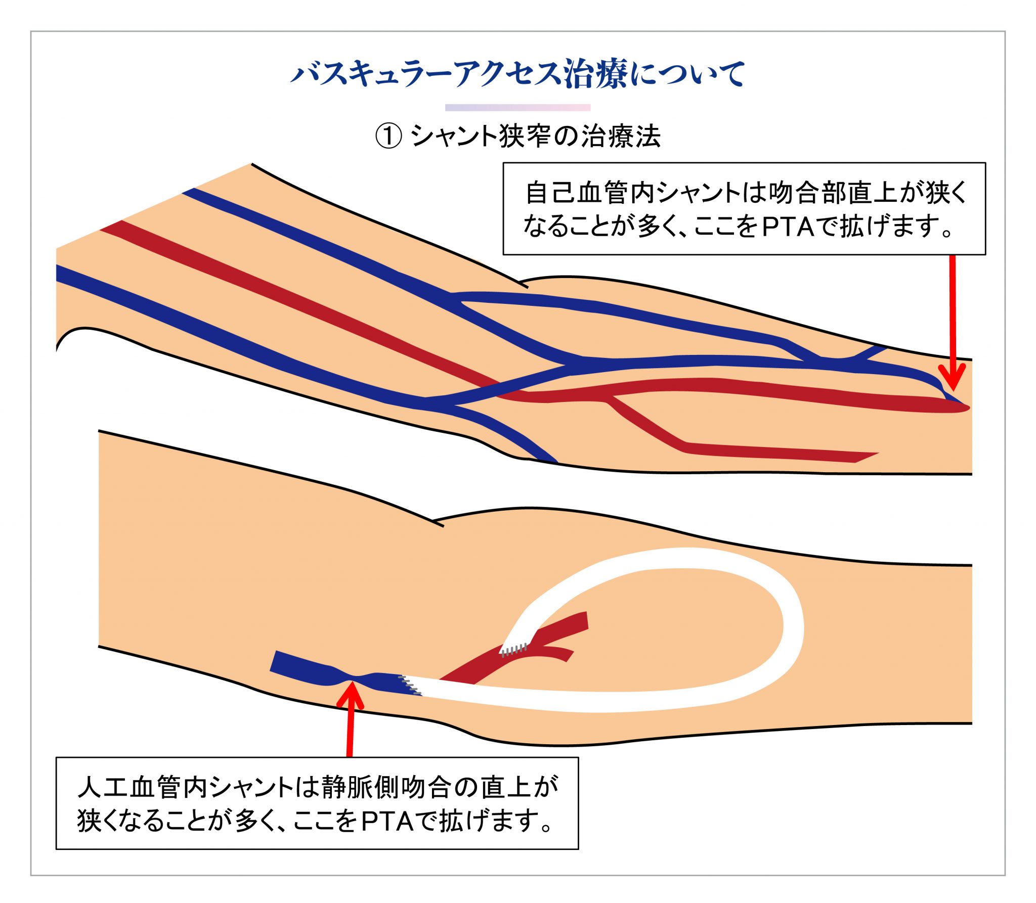 診療案内 – VAクリニック愛知